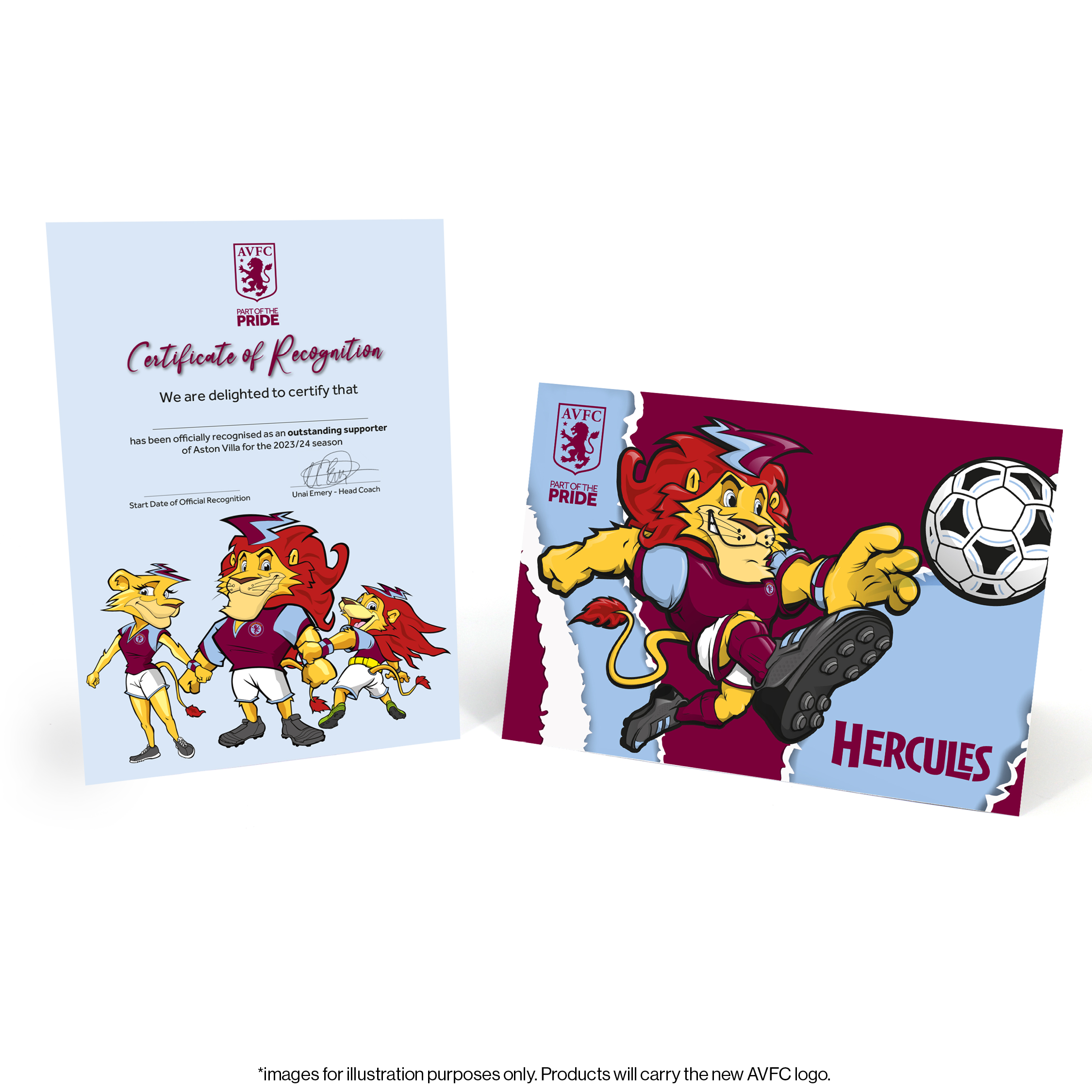 AVFC Membership Options